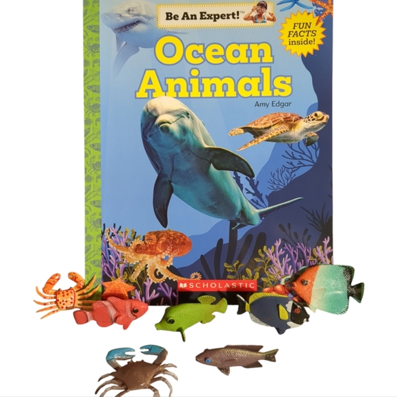 Scholastic | Toys | 6 Ocean Animals Book And Toys Bundle | Poshmark